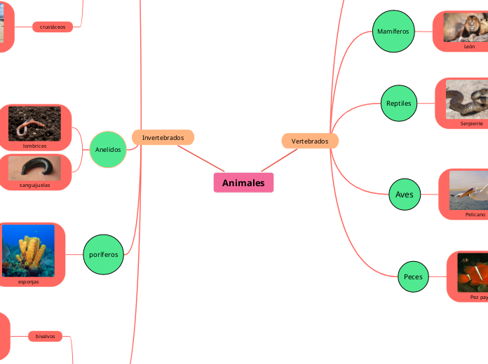 Animales - Mind Map